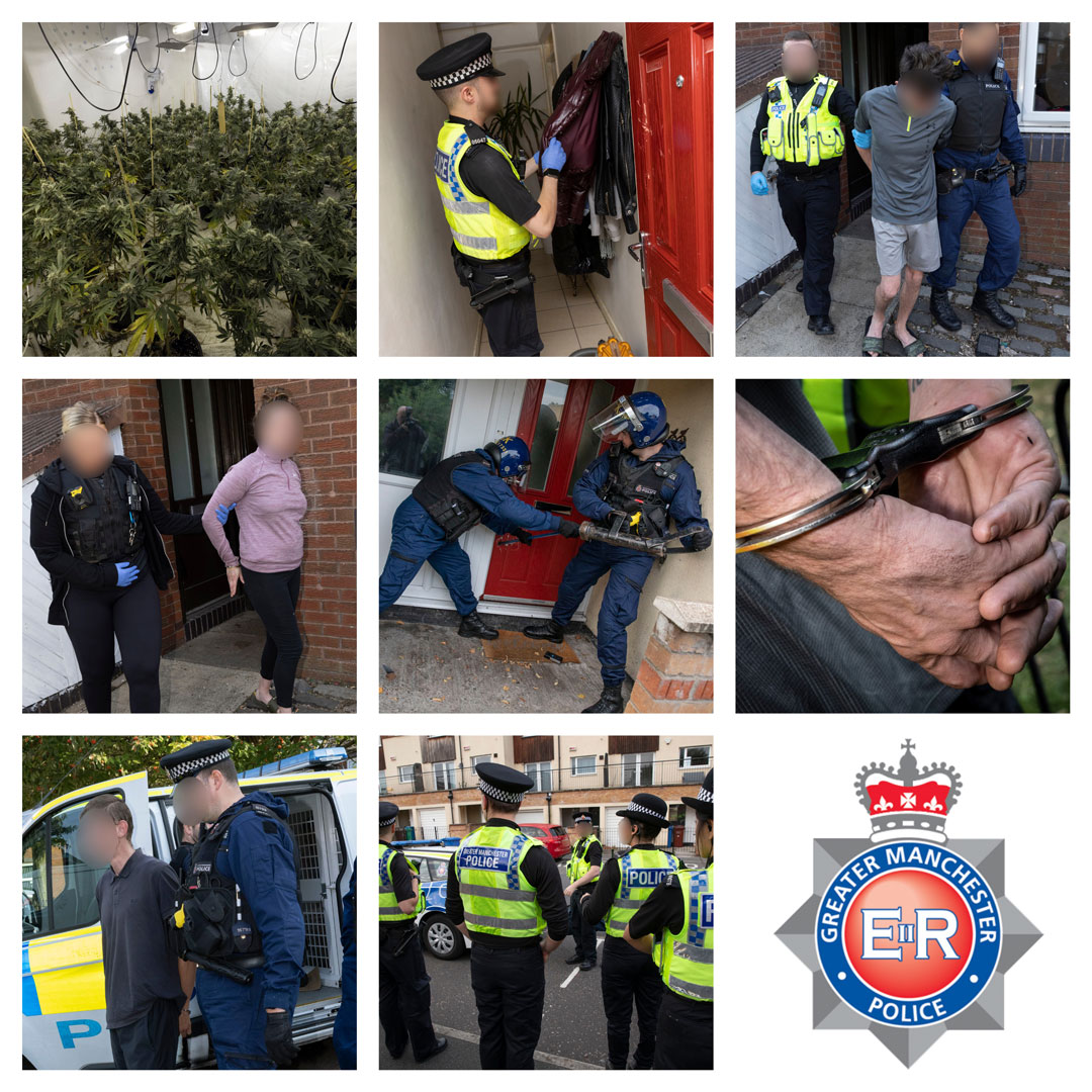 Dawn raids see 12 arrested as part of day of action to fight drug crime ...
